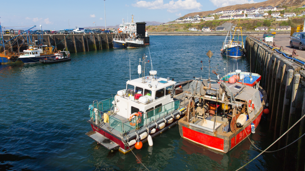 The Fishmongers’ Company joins Fisheries Innovation and Sustainability ...