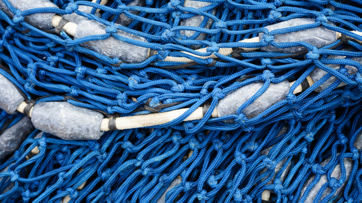 Vessels of the Future - Fisheries Innovation & Sustainability