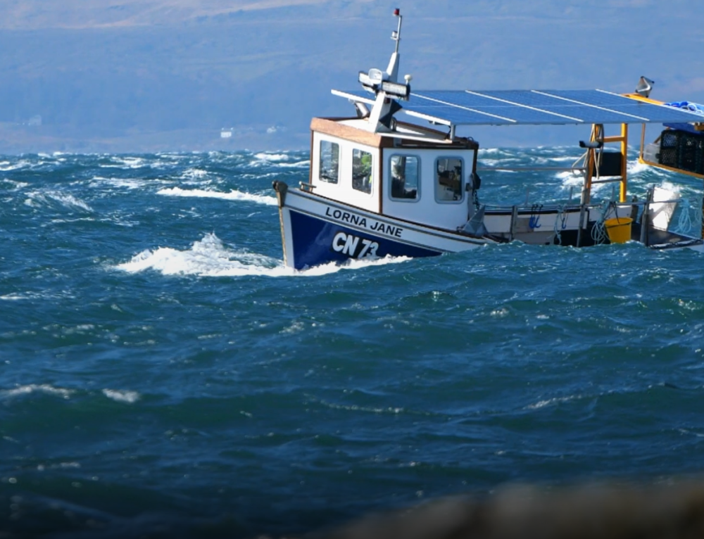 Smartrawl: AI-empowered fishing net to help prevent marine bycatch ...